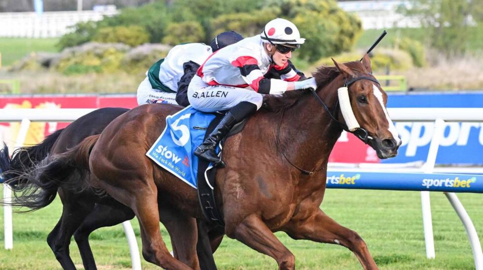 Memsie Stakes 2025 Preview