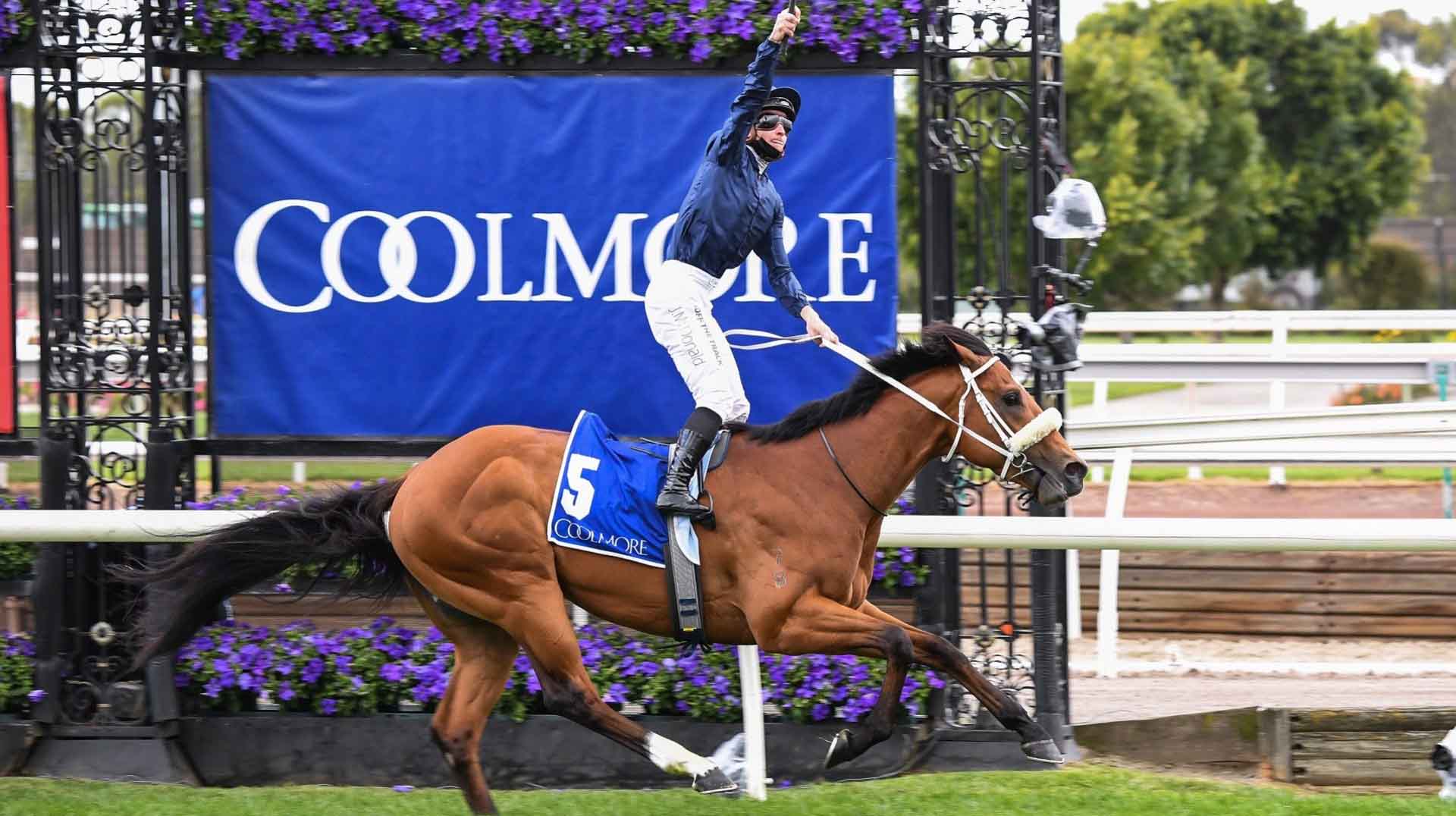 Coolmore Stud Stakes 2025 Preview